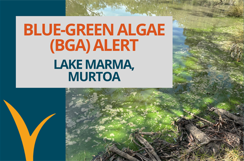 Blue-Green Algae Alert - Lake Marma - January 2026 - Yarriambiack Shire ...