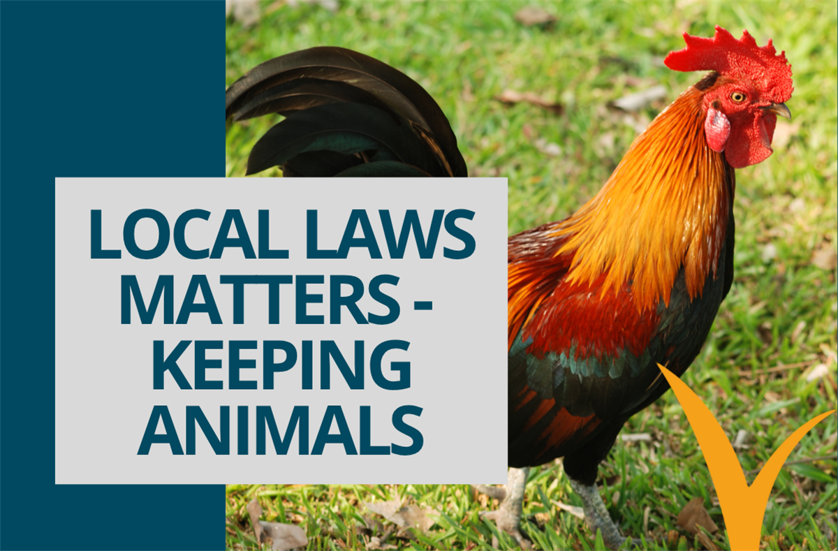Local Laws Matters - Keeping Animals - Yarriambiack Shire Council